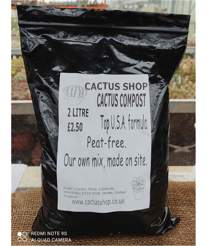 Cactus Shop Cactus Compost